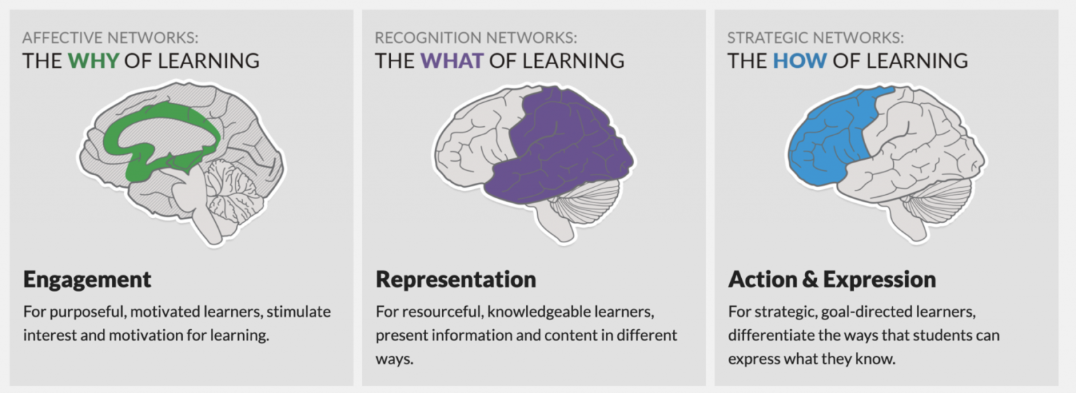 A Framework to Change the World? Introducing the Universal Design for ...
