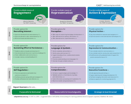 A Framework to Change the World? Introducing the Universal Design for ...