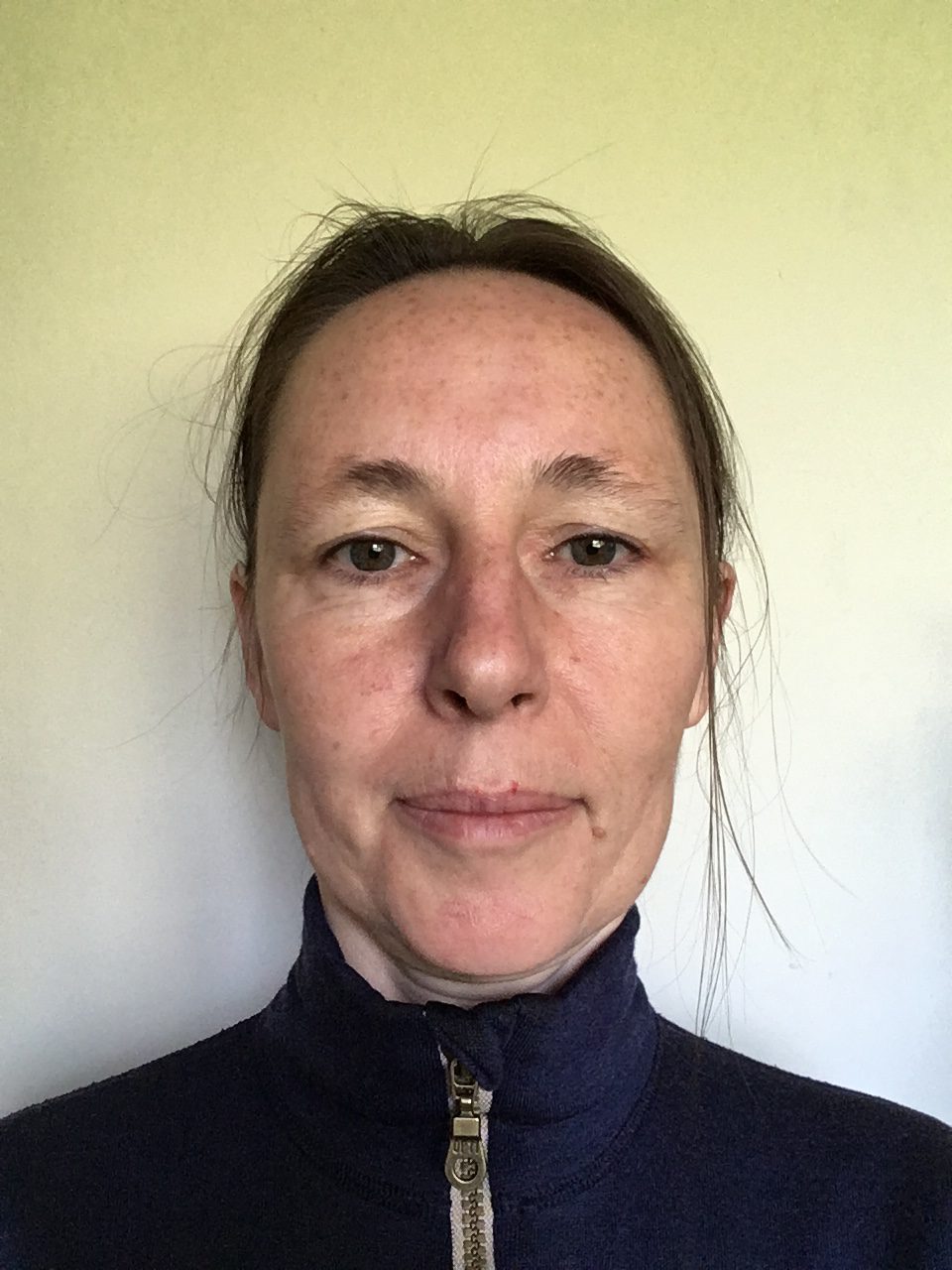 July « 2019 « UK Trade Policy Observatory